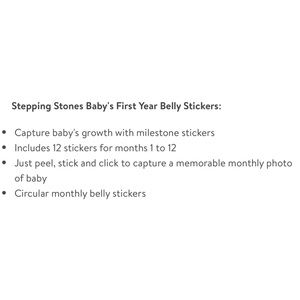 Stepping Stones | Accessories | New Stepping Stones Babys First Year ...